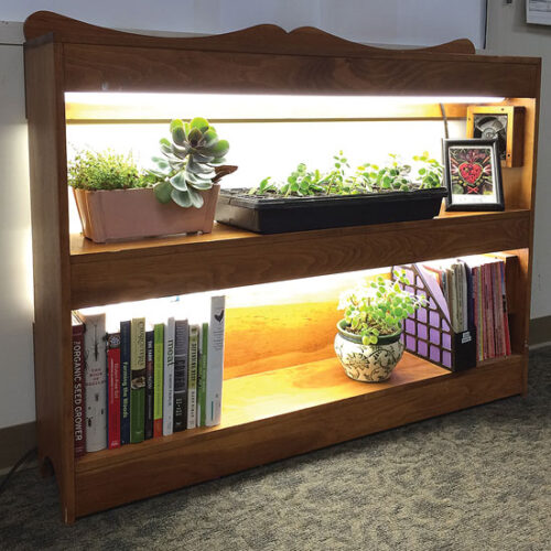 12 Easy DIY Seed Starting System Ideas – Mother Earth News